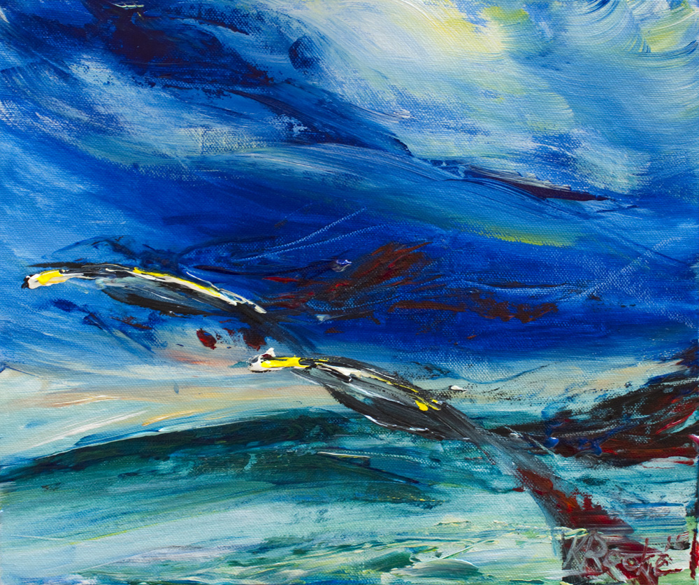 Flying Fish | Kevin Roche Artist